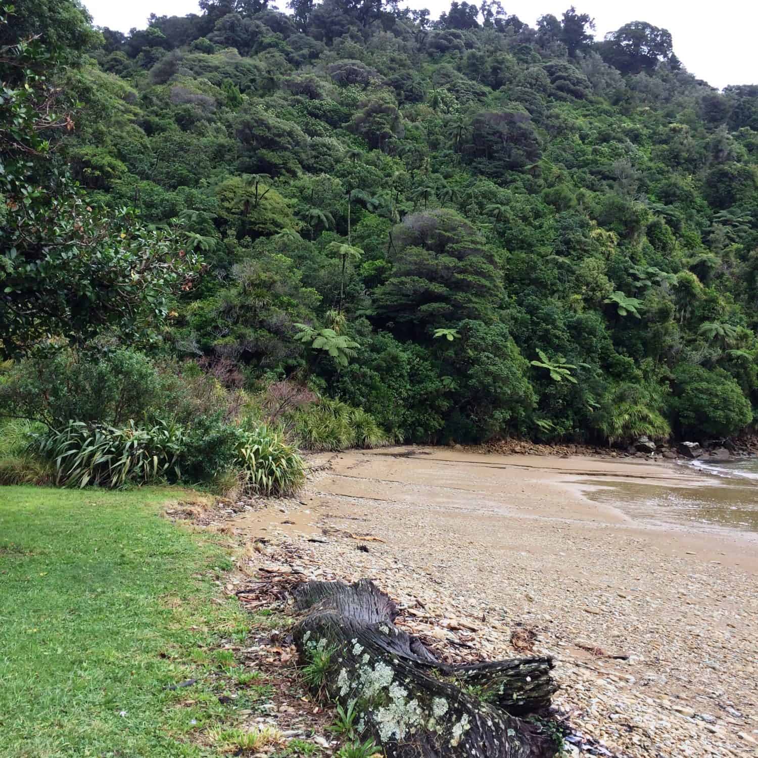 Hiking and holidays in New Zealand's Marlborough Sounds